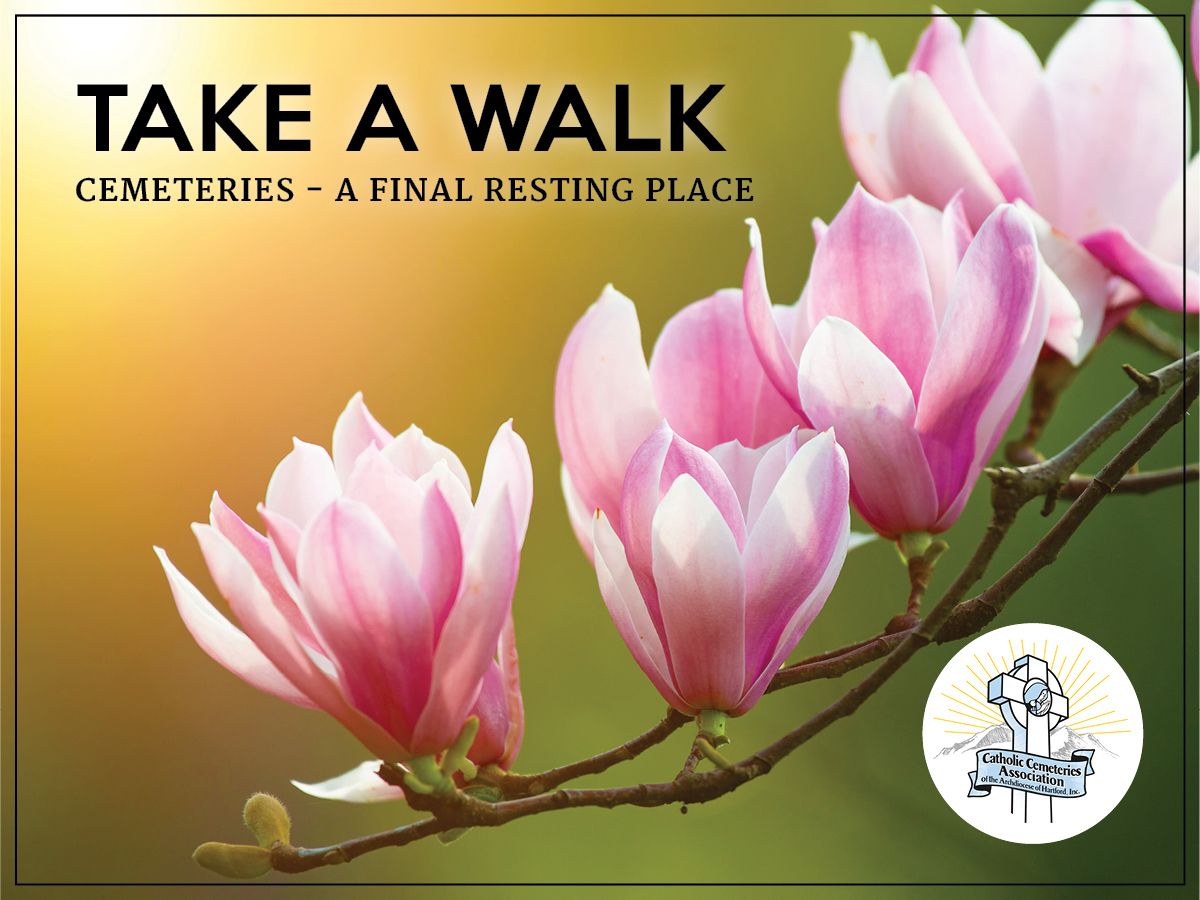 Cemeteries- A Final Resting Place - Catholic Cemeteries Association of ...